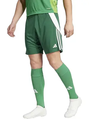 Adidas Adidas Tiro 24 Shorts Green