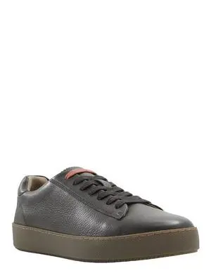 Ted Baker London Ted Baker London Westwood Sneaker Dark Brown