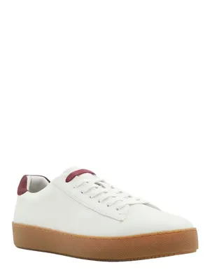 Ted Baker London Ted Baker London Westwood Sneaker White/gum