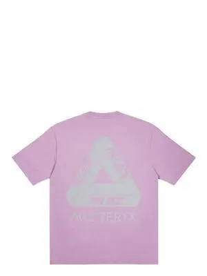 PALACE Arc'teryx T-shirt Haze
