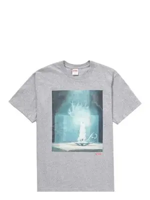 Supreme Fuck Tee Shirt Heather Grey