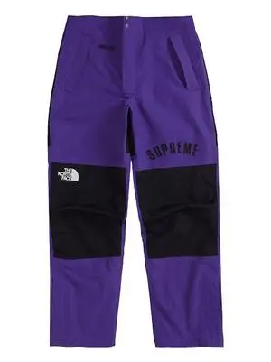 Supreme The North Face Arc Logo Mountain Pant - Purple