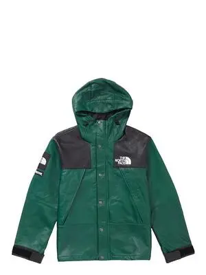 Supreme Supreme The North Face Leather Mountain Parka Dark Green