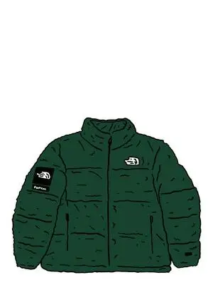Supreme The North Face Faux Fur Nuptse Jacket - Green