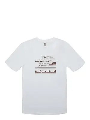 Supreme The North Face Metallic Logo T-shirt - White