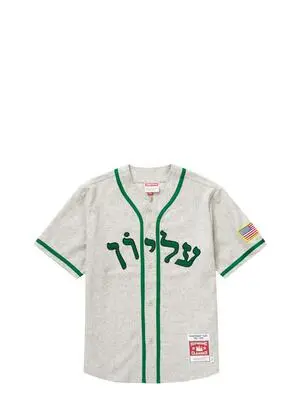 Supreme Mitchell & Ness Wool Baseball Jersey - Grey