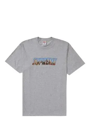 Supreme Gotham Tee Shirt Ash Grey