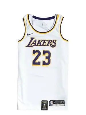 Nike Nba Los Angeles Lakers Lebron James Association Edition Swingman Jersey - White