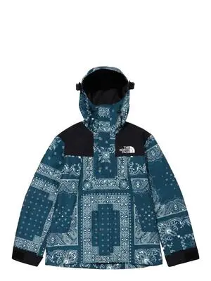 The North Face Novelty Gtx Paisley Mountain Jacket - Peacock Blue