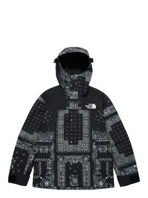 The North Face Novelty Gtx Paisley Mountain Jacket - Black