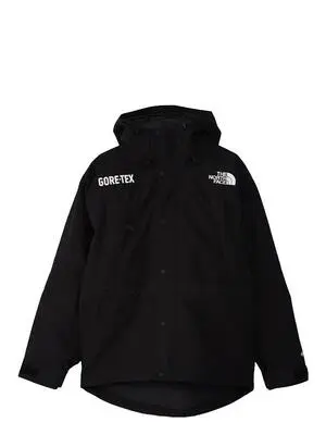 THE NORTH FACE GTX Mountain Guide Insulated Parka