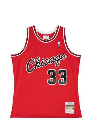 Mitchell & Ness Scottie Pippen Chicago Bulls Alternate 2003-04 Nba Jersey - Red