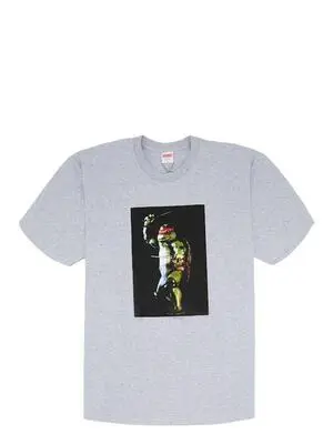 Supreme Raphael Tee Shirt Heather Grey
