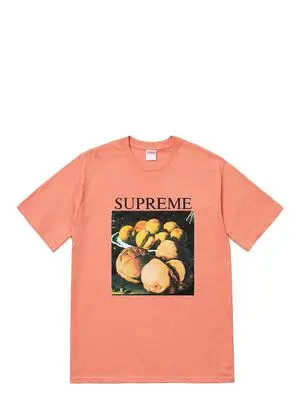 Supreme Still Life Tee Shirt Terra Cotta