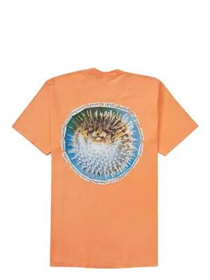 Supreme Blowfish Tee Shirt Peach