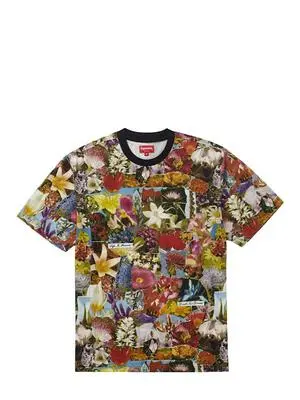 Supreme Dream Short Sleeve Top Multicolor