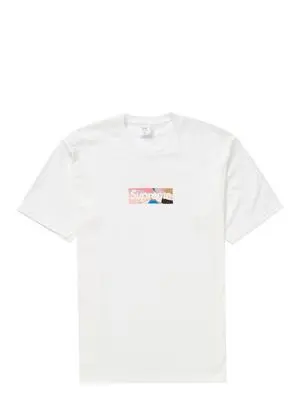 Supreme Emilio Pucci Box Logo Tee Shirt White/dusty Pink