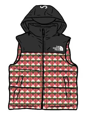 Supreme The North Face Studded Nuptse Vest - Red