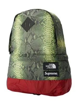 Supreme The North Face Snakeskin Lightweight Day Pack - Green
