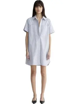 Everlane Oxford Shirt Dress - Bone/mazarine Blue