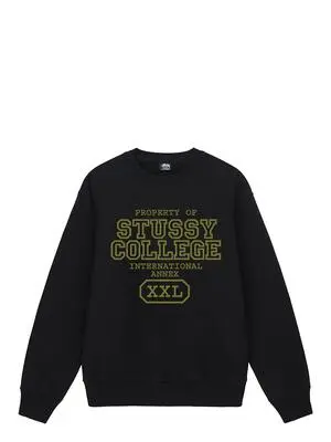 StÜssy Property Of Crew - Black