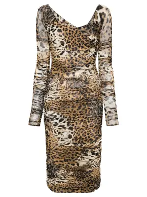 Roberto Cavalli Leopard-print Mesh Midi Dress - Neutrals