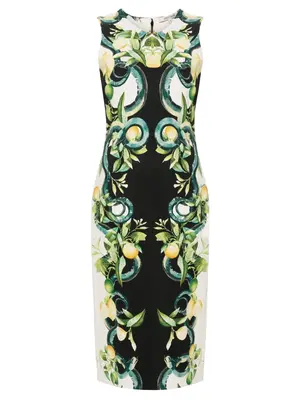 Roberto Cavalli Lemon And Snake Print Crepe Midi Dress - Black