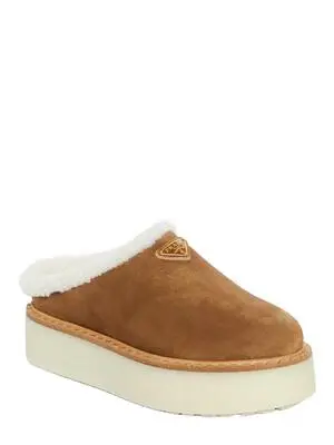 Prada Prada Evolve Genuine Shearling Clog Cannella
