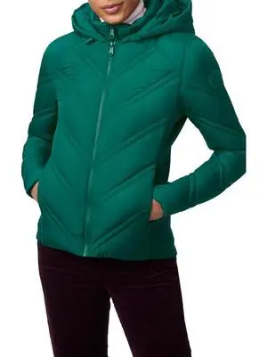 Bernardo Bernardo Hooded Puffer Jacket With Bib Emerald Green