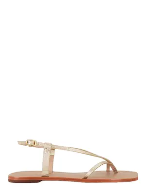 Kaanas Cristobal Metallic Sandal - Gold