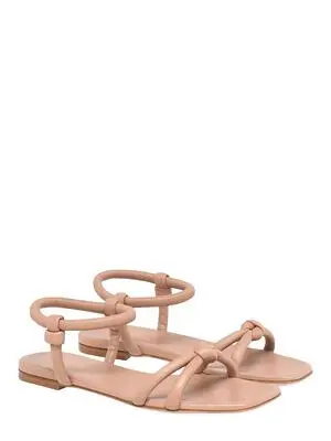 GIANVITO ROSSI Juno 05 Flat Sandals - Pink