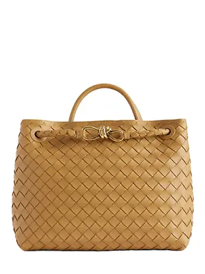 Bottega Veneta Andiamo Medium Leather Tote Bag - Dark Pra-mb-dark Pra