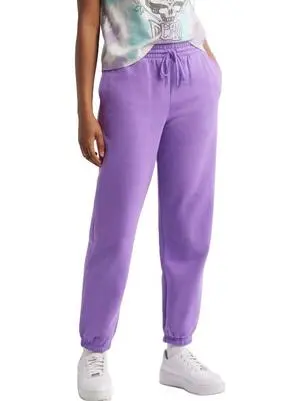 Bp. BP. Classic Fit Joggers Purple Fresco