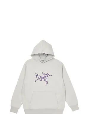PALACE X Arc'teryx Hood - Grey