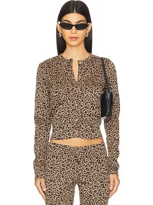Lioness X Cardi - Leopard