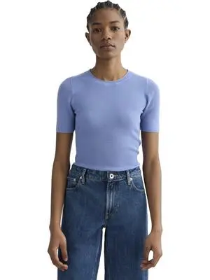 Everlane Ultrasoft Merino Sweater Tshirt - Bluebell