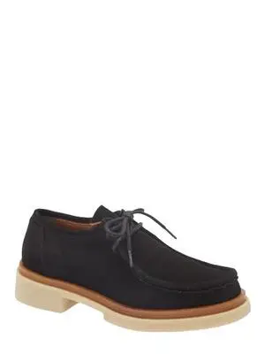 Cordani Maya Chukka Derby - Camoscio Nero