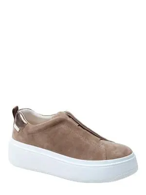 Linea Paolo Golde Platform Sneakers - Taupe