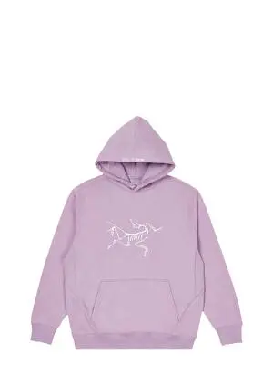 PALACE X Arc'teryx Hood - Purple