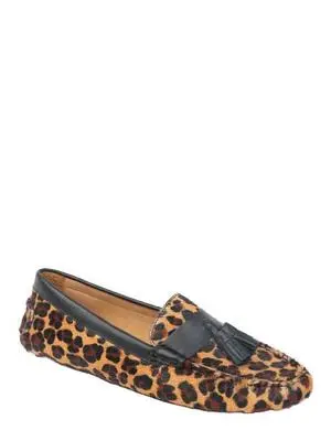 PATRICIA GREEN Jordan Moc Toe Loafer - Leopard Haircalf