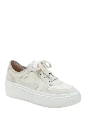 Linea Paolo Gains Platform Sneakers - Snow