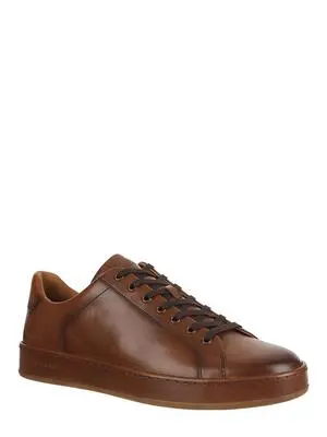 Allen Edmonds Barnes Leather Low Top Sneakers - Mahongany