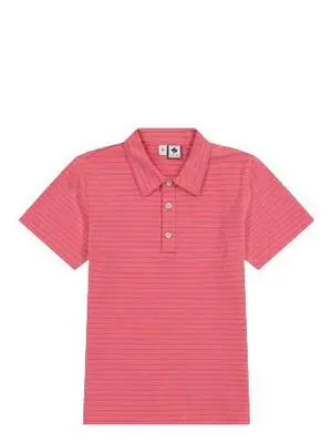Busy Bees Short Sleeve Polo - Red Mini Navy Stripe