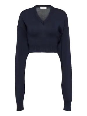 Sportmax Pomez Cropped Sweater - Blue