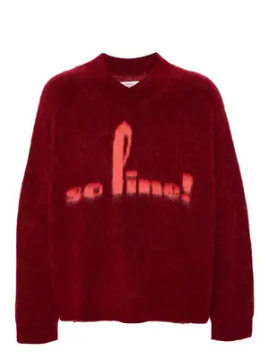 Martine Rose Brushed V-neck Sweater - Red