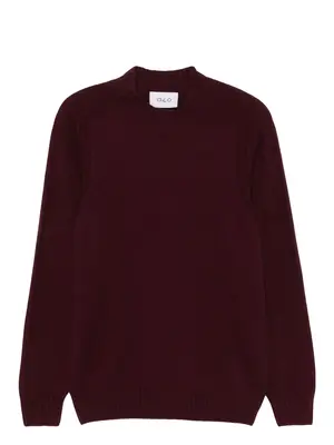 D4.0 Virgin Wool Sweater - Red