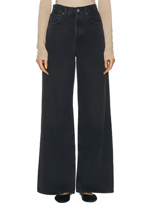 AGOLDE Dame High Rise Wide Leg Jeans Hitch