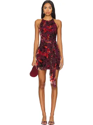 Amanda Uprichard Selah Dress - Sorrel Burnout
