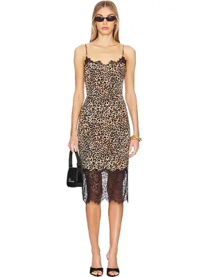LOBA Jacinta Midi Dress - Leopard