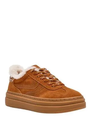 Steve Madden Dodge Platform Sneakers - Chestnut Suede